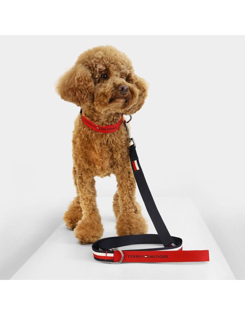 Mascotas | Tommy Hilfiger